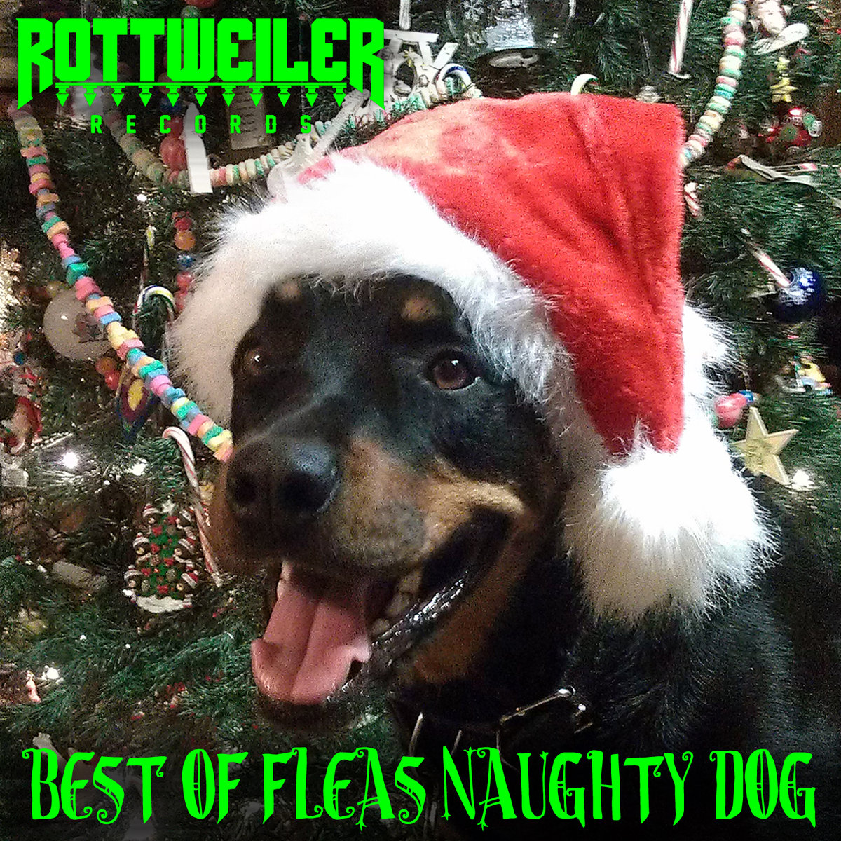 Rottweiler Records Taking Submissions for "Fleas Naughty Dog Vol.4" - News - Indie Vision Music