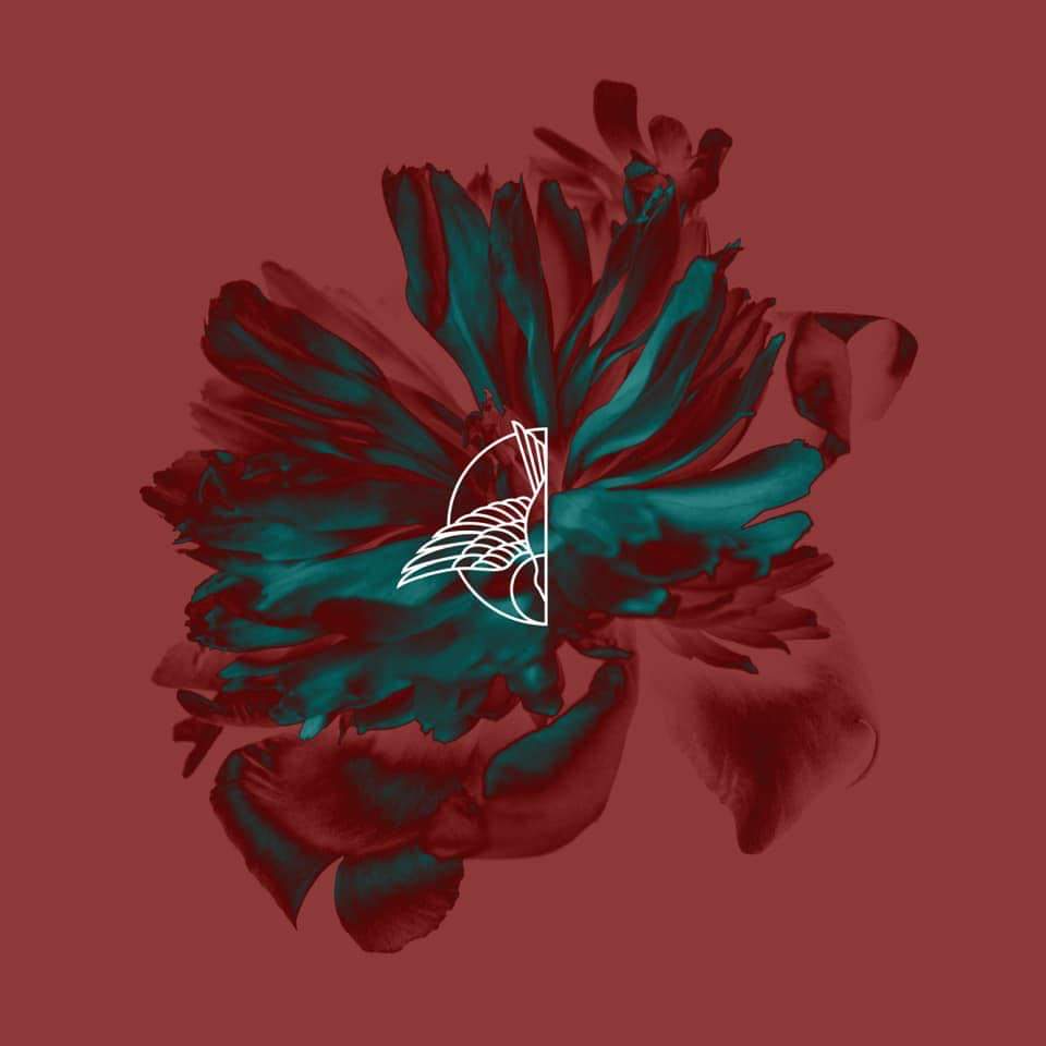 Earth Groans Announces TWO New eps, Release New Single - News - Indie ...