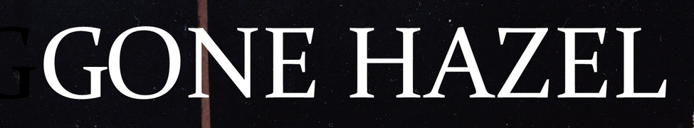 Song of the Day: Gone Hazel - Daybreak - Articles - Indie Vision Music