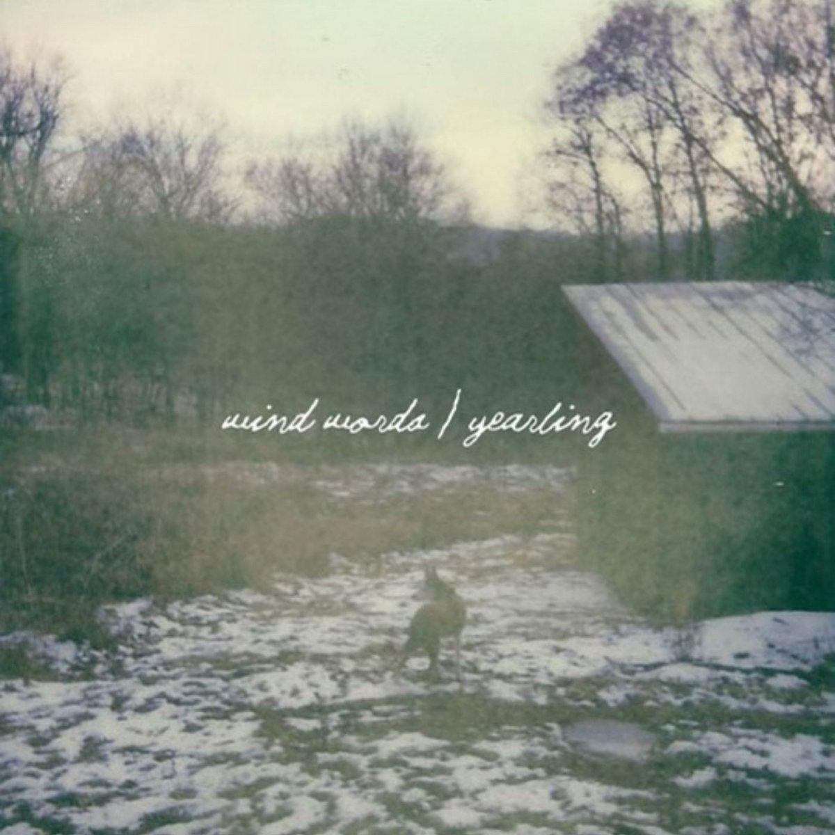 Wind Words and Yearling Release 'Splitsville' Split Album - News ...